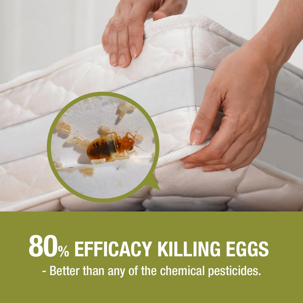Ecovenger Bed Bug Killer with Remote Sprayer 1 Gallon – EcoVenger